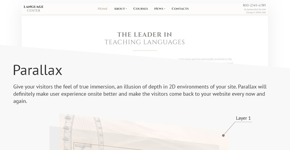 Language School Responsive Website Template - TemplateMonster