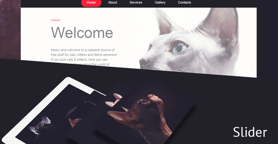 Cat Responsive Website Template #58052 - TemplateMonster