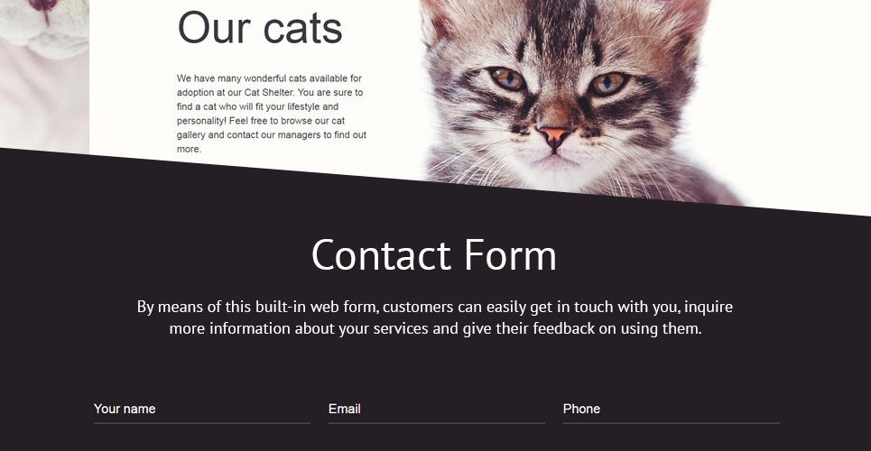 Cat Responsive Website Template #58052 - TemplateMonster