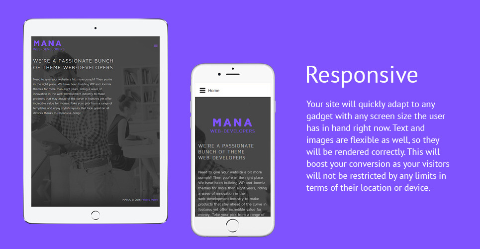Web Development Responsive Joomla Template - TemplateMonster
