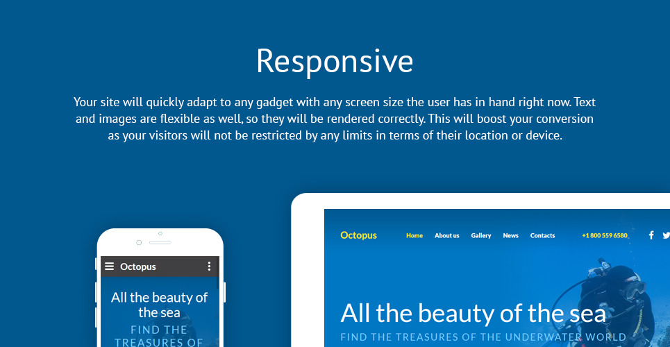 Diving Responsive Website Template #58099 - TemplateMonster