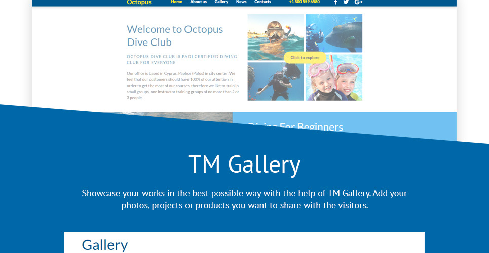 Diving Responsive Website Template #58099 - TemplateMonster