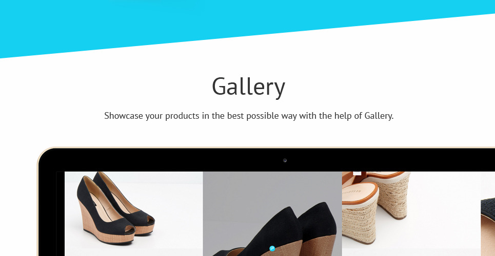 Shoe Store Responsive Shopify Theme #58373 - TemplateMonster