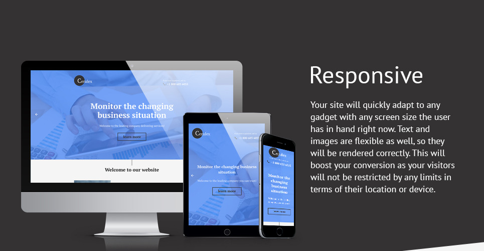 Cerulex Landing Page Template #58435 - TemplateMonster