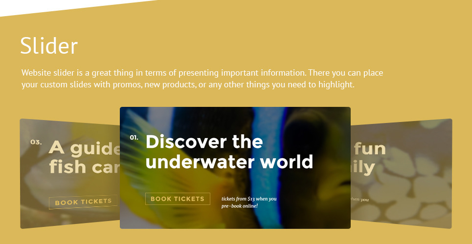 Fish Responsive Landing Page Template - TemplateMonster Fish Responsive Landing Page Template - TemplateMonster