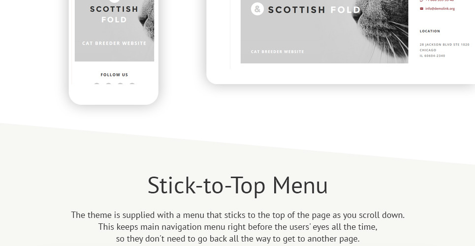 Cat Responsive Website Template #58574 - TemplateMonster