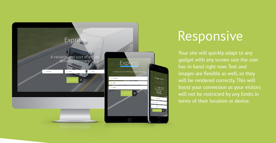 Express Landing Page Template #58587 - TemplateMonster