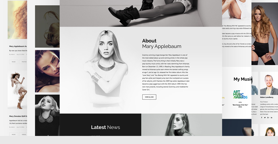 Stargaze - Media & Celebrity Responsive WordPress Theme
