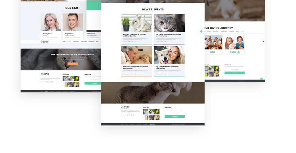Animal Shelter - Animal Care Responsive Website Template