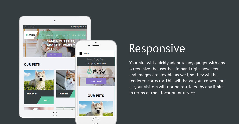 Animal Shelter Joomla Template #62140 - TemplateMonster