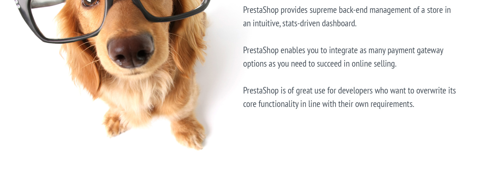 MaxiGlass - Optometric Store PrestaShop Theme