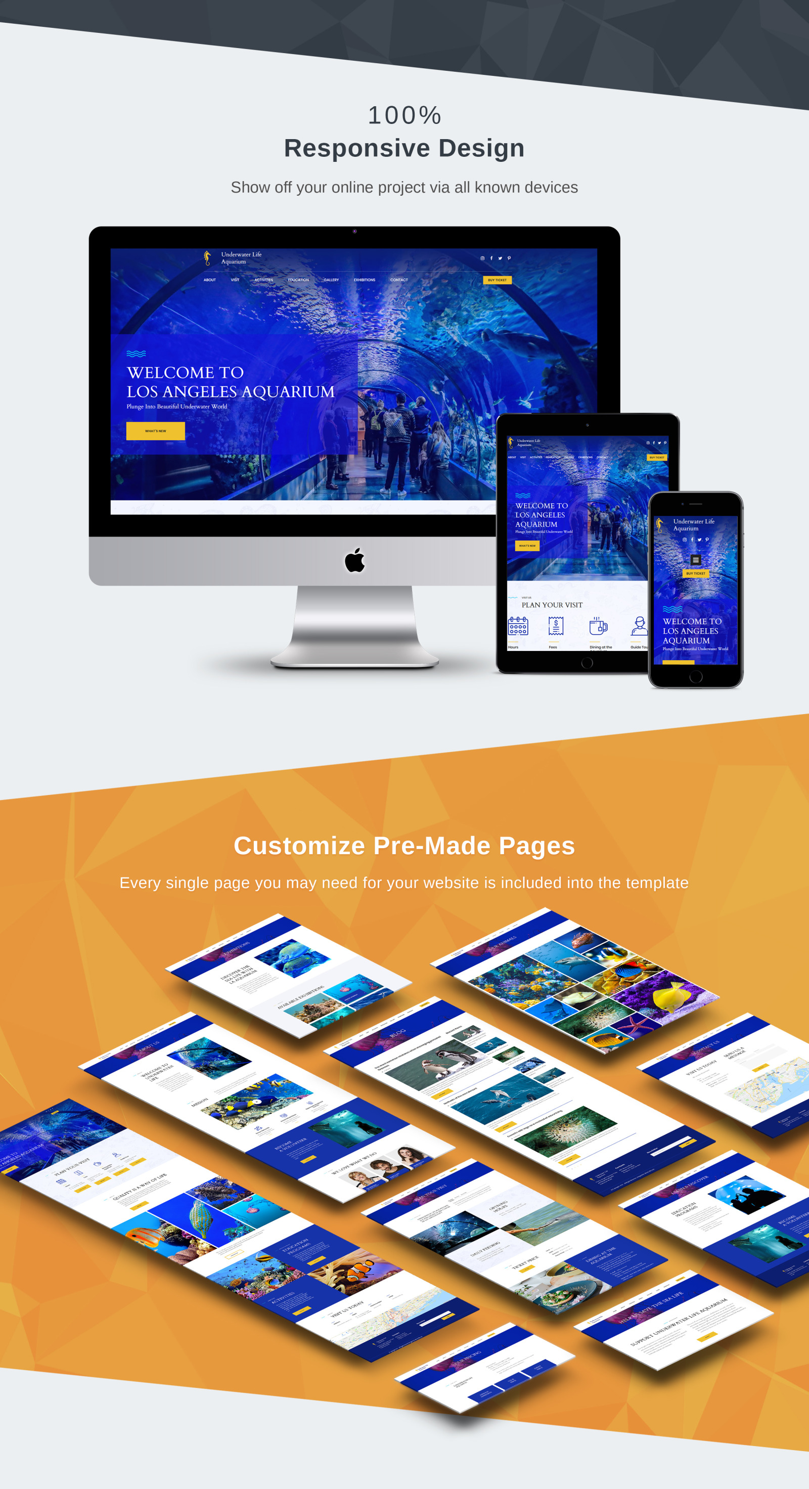 Public Aquarium Premium Moto CMS 3 Template - TemplateMonster