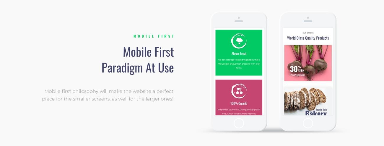 Ferim - Food Delivery Multipurpose Minimal WordPress Elementor Theme