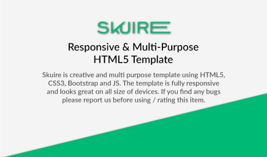 Skuire - Responsive & Multi-Purpose HTML5 Website Template