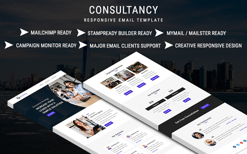 Consultancy – Email Newsletter Template - TemplateMonster