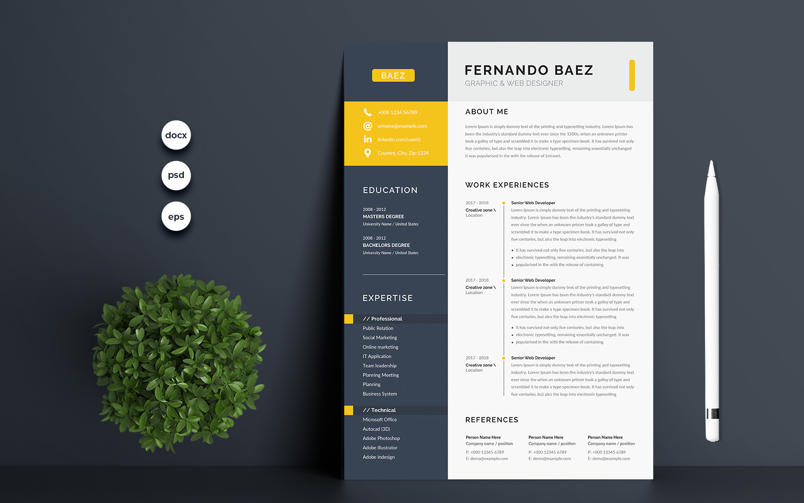 Fernando Baez CV Resume Template #108967 - TemplateMonster