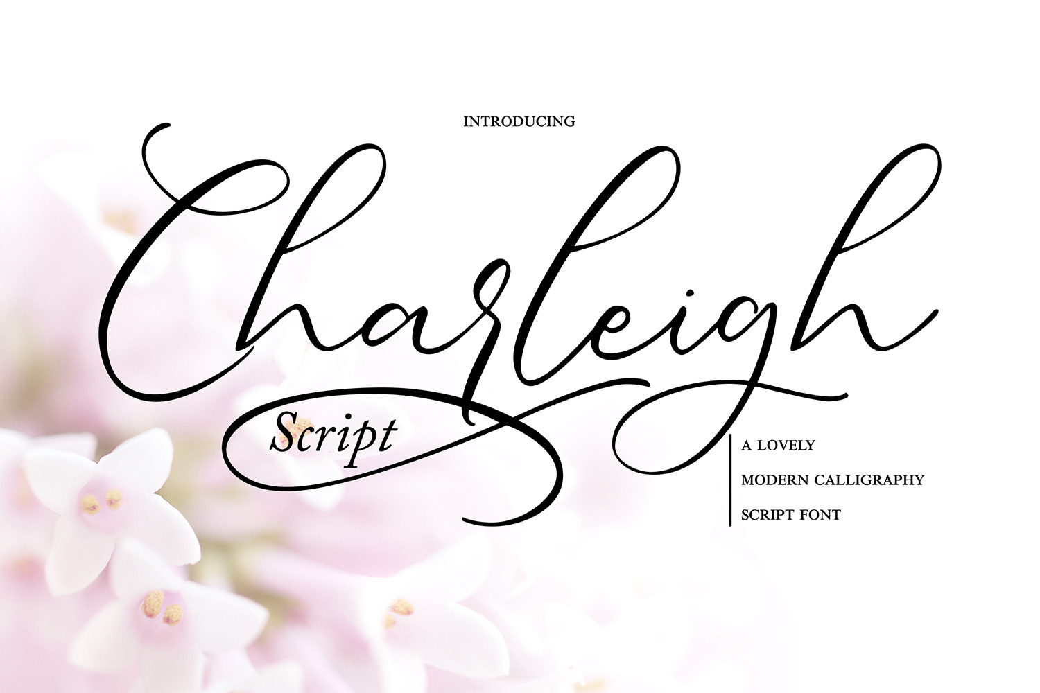 Charleigh | Modern Calligraphy Cursive Font - TemplateMonster