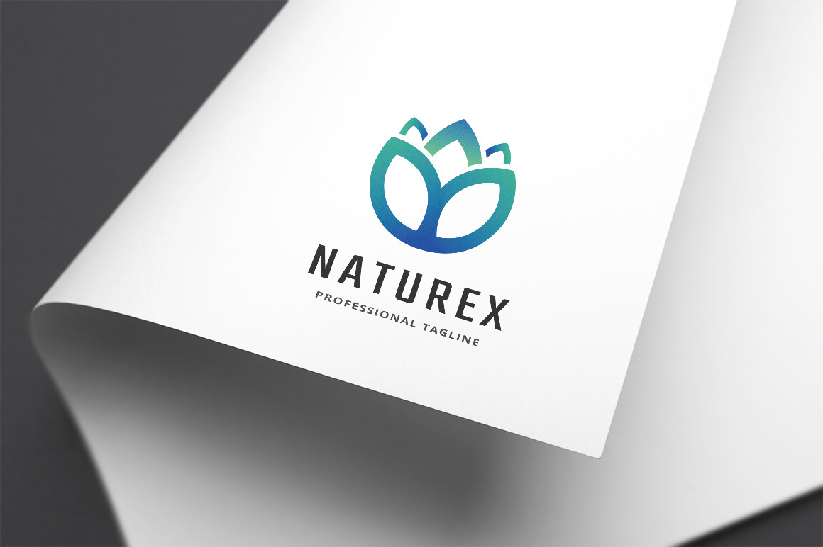 Naturex Logo Template #114322 - TemplateMonster