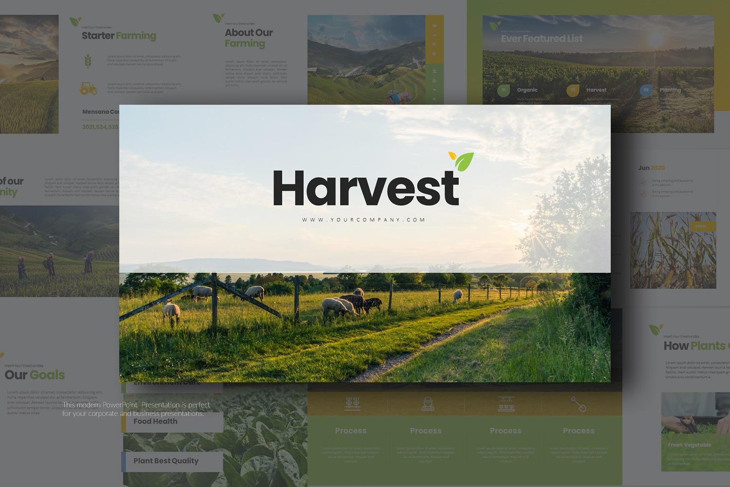 Harvest Presentation PowerPoint template - TemplateMonster