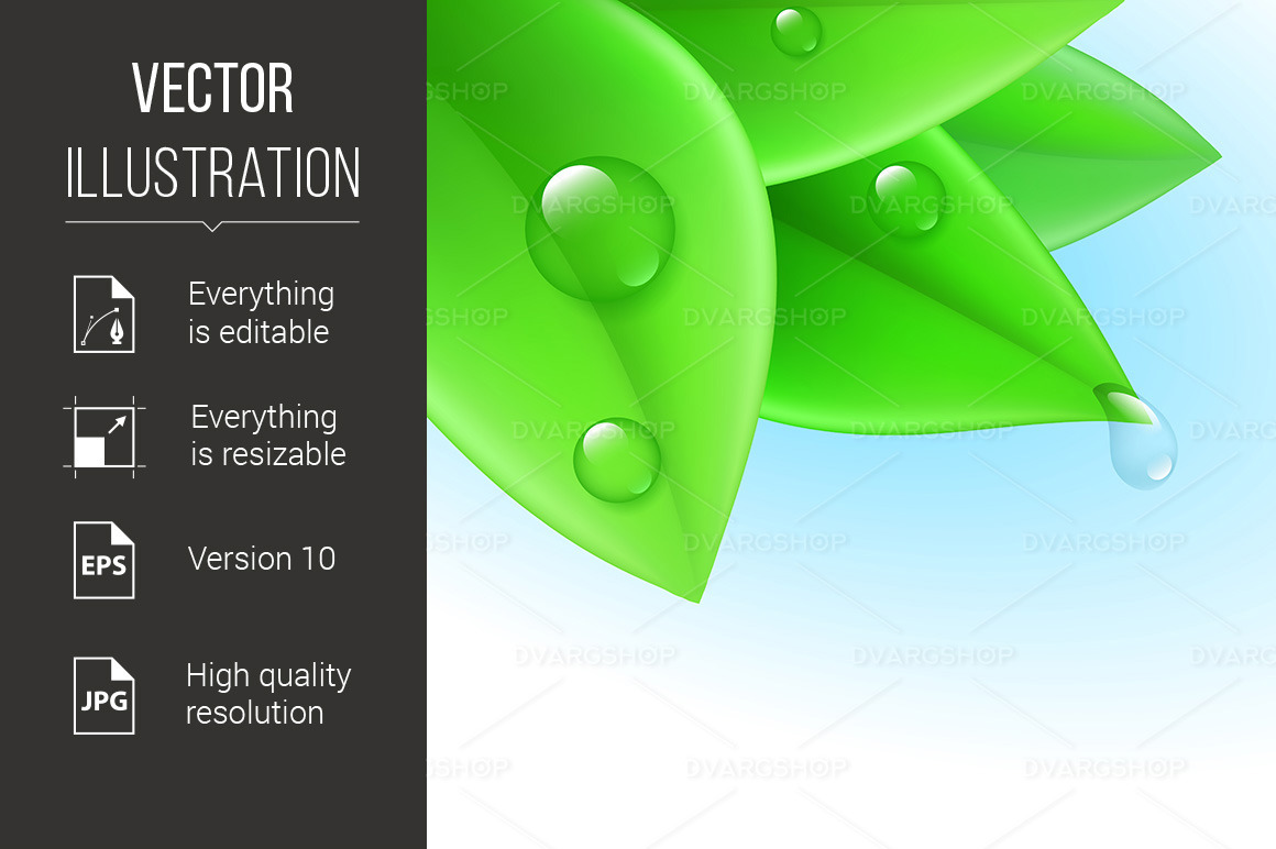 Purity - Vector Image #116652 - TemplateMonster