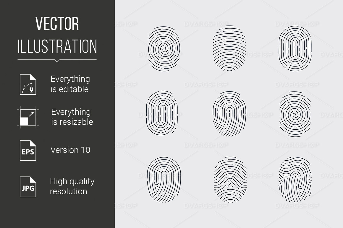 Fingerprint - Vector Image #118256 - TemplateMonster