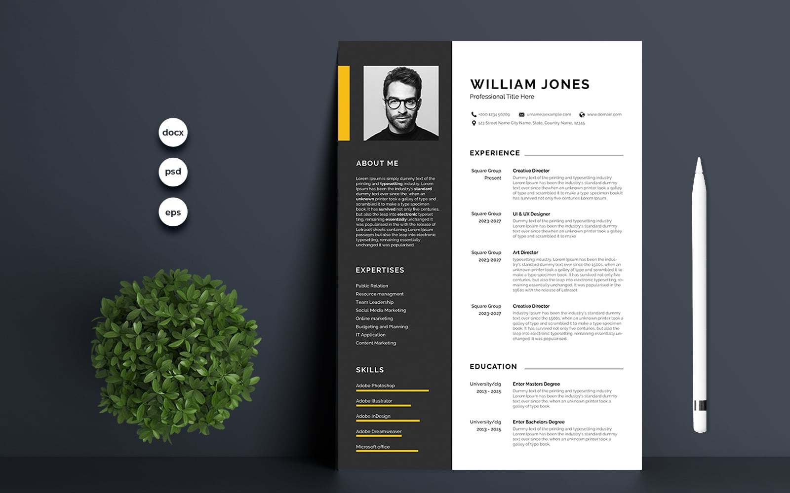 Jones Professional CV Resume Template - TemplateMonster