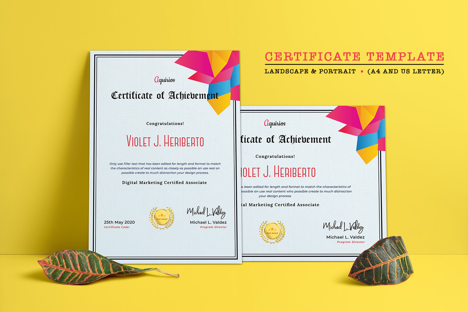Professional Minimal Certificate Template - TemplateMonster