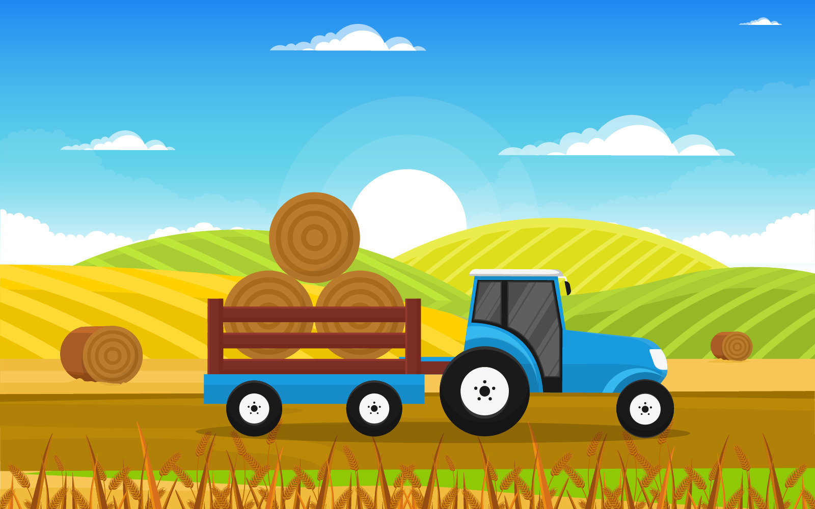 Agriculture Wheat Farm - Illustration - TemplateMonster