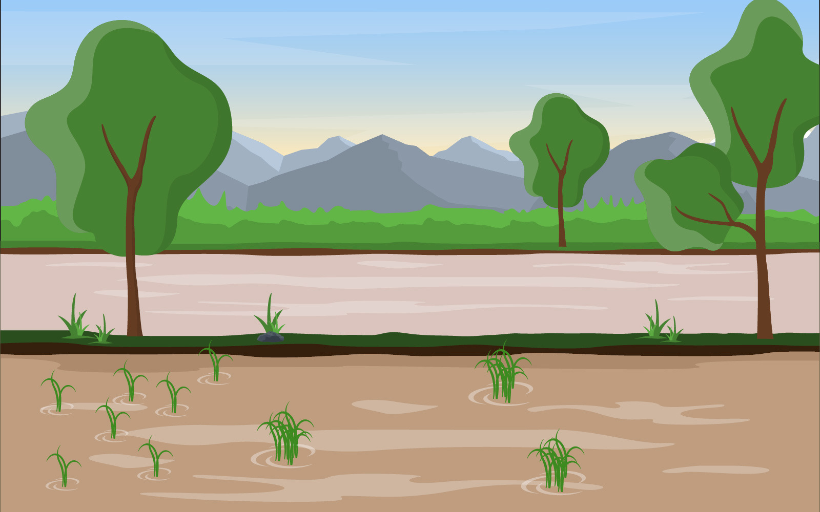 Field Paddy Plantation - Illustration - TemplateMonster