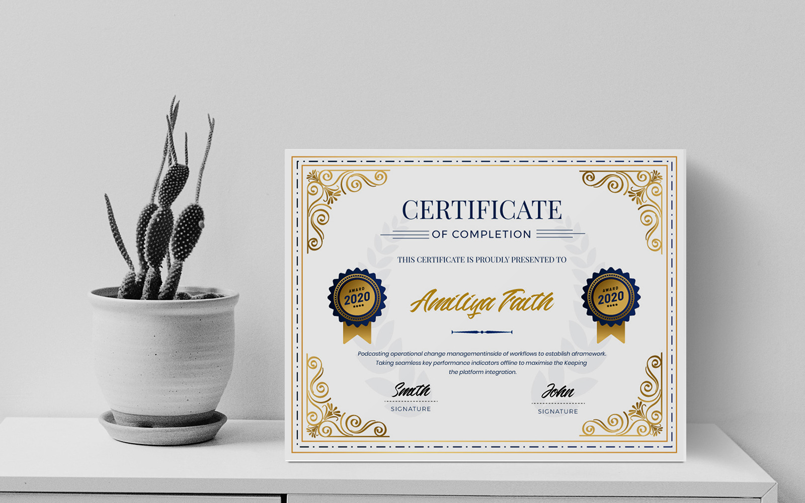 Professional Certificate Template #145306 - TemplateMonster