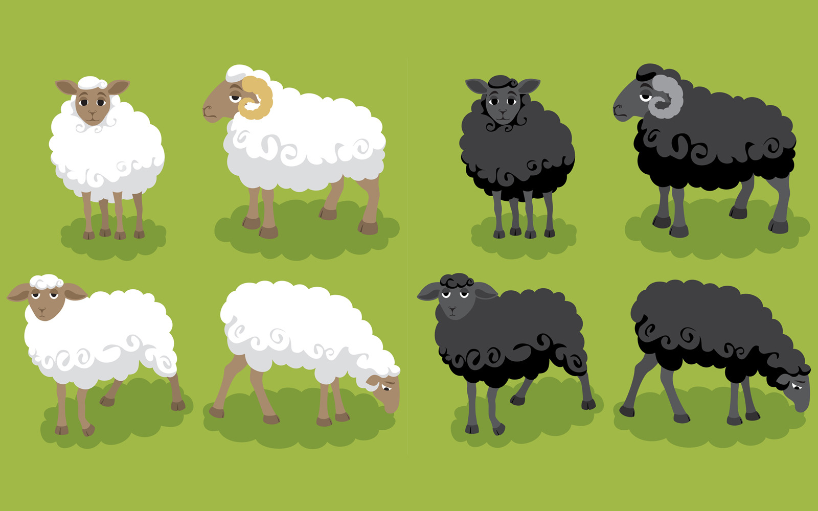 Sheep - Illustration #151993 - TemplateMonster