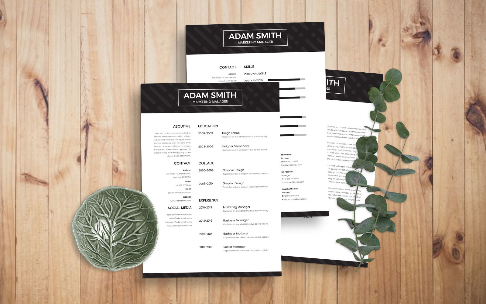 Minimal CV Resume Template #154034 - TemplateMonster