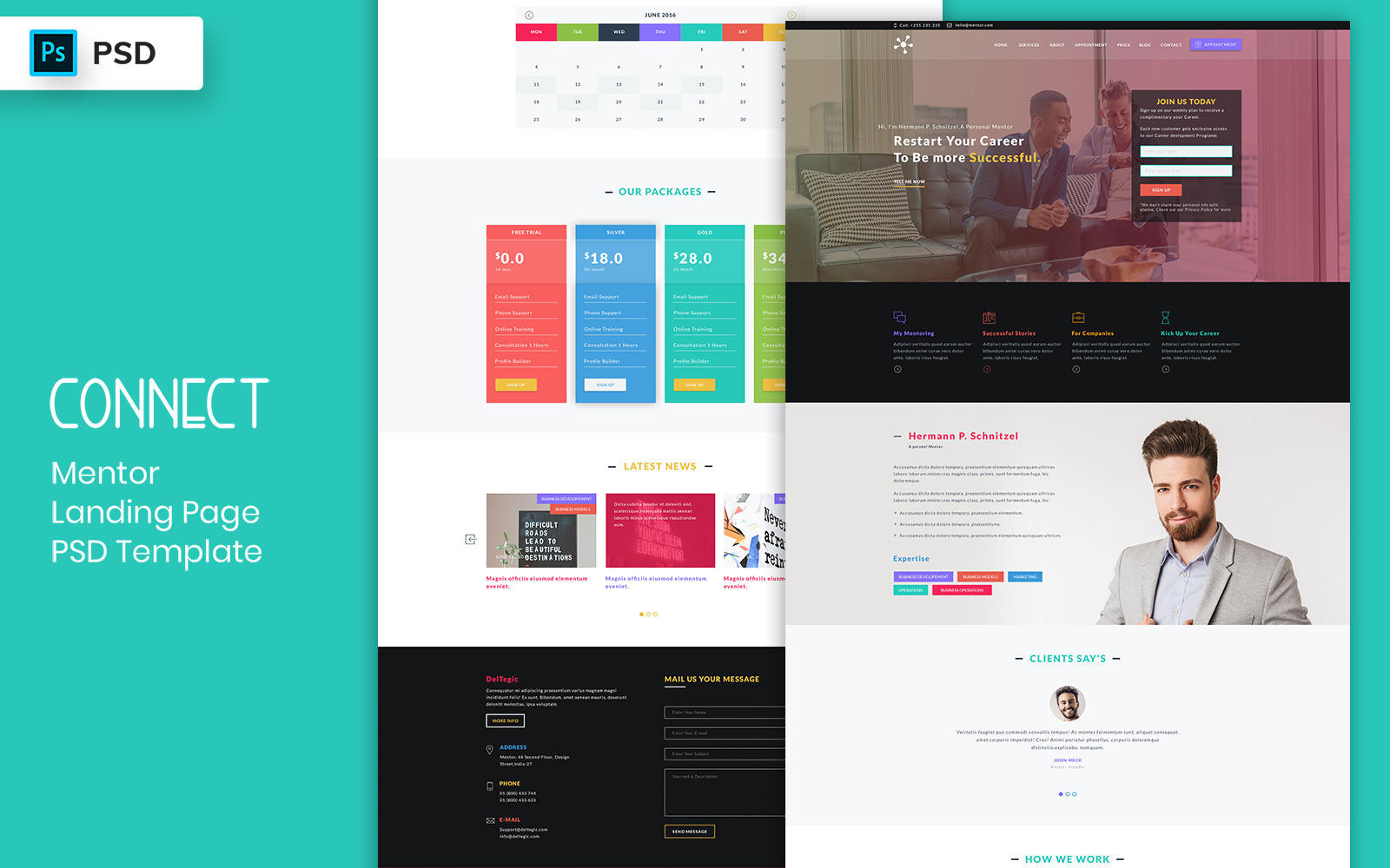 Mentor Landing Page Template Ui Elements Templatemonster