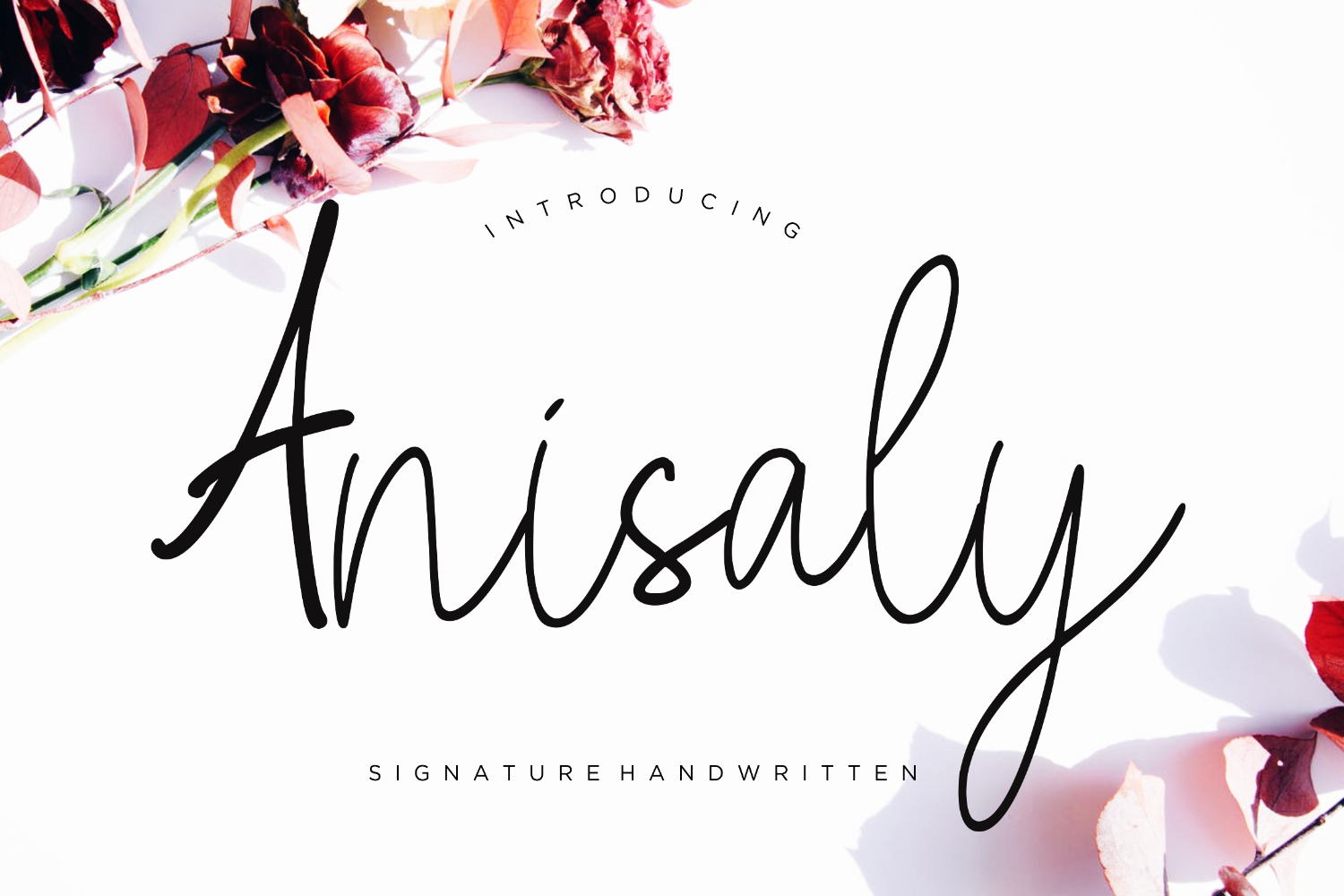 Anisaly Cursive Font #157846 - TemplateMonster