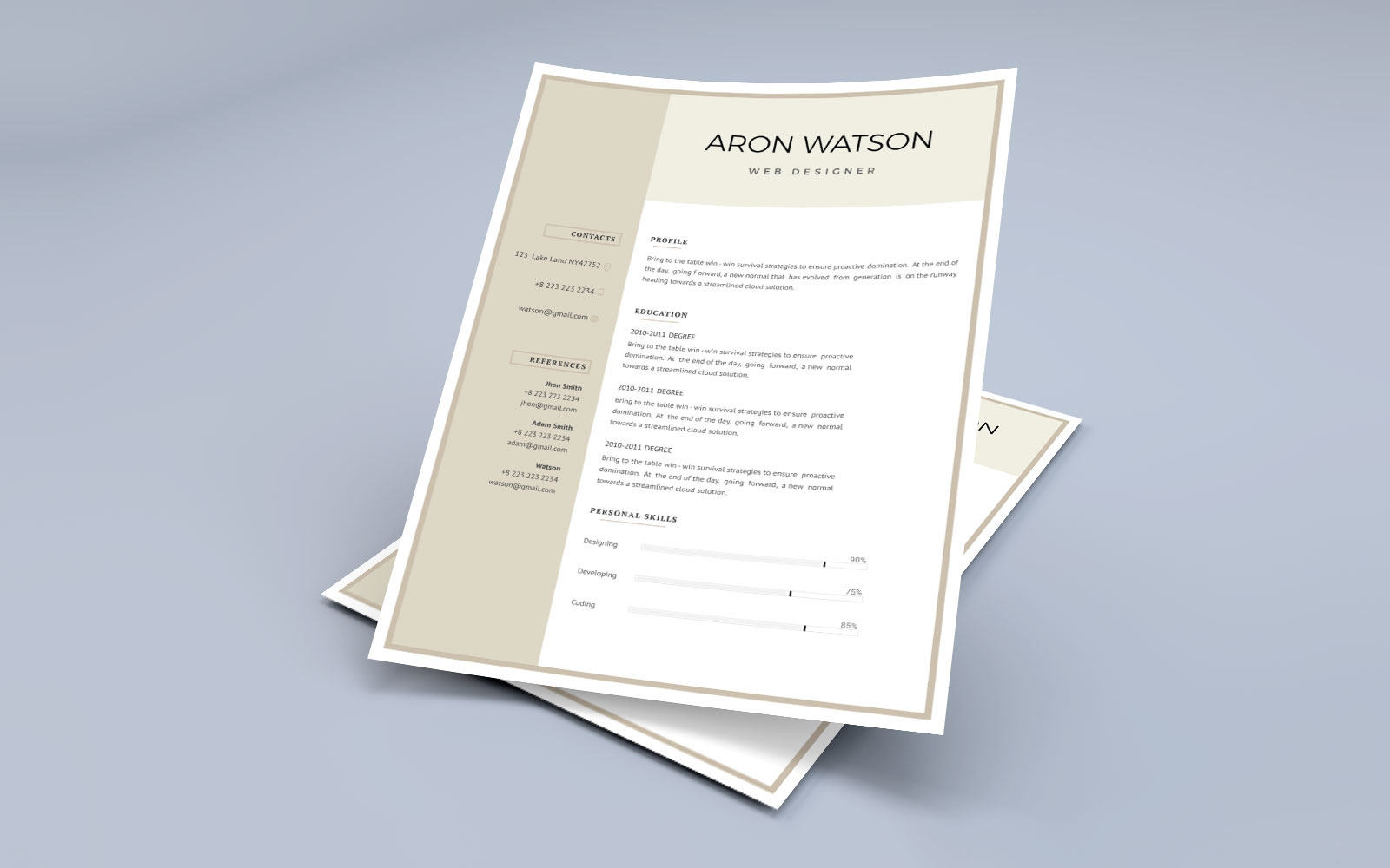 Professional Web Designer CV Resume Template