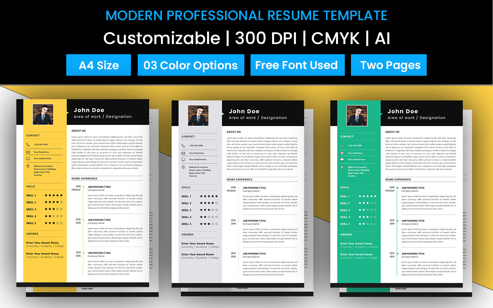 Modern Professional Resume Template #161017 - TemplateMonster