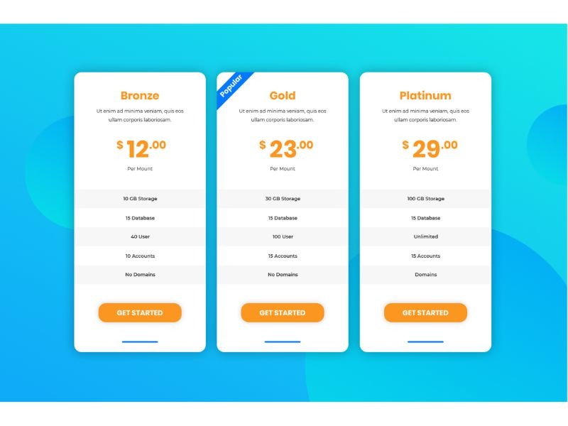 PT 3 Package Option UI Elements #161499 - TemplateMonster