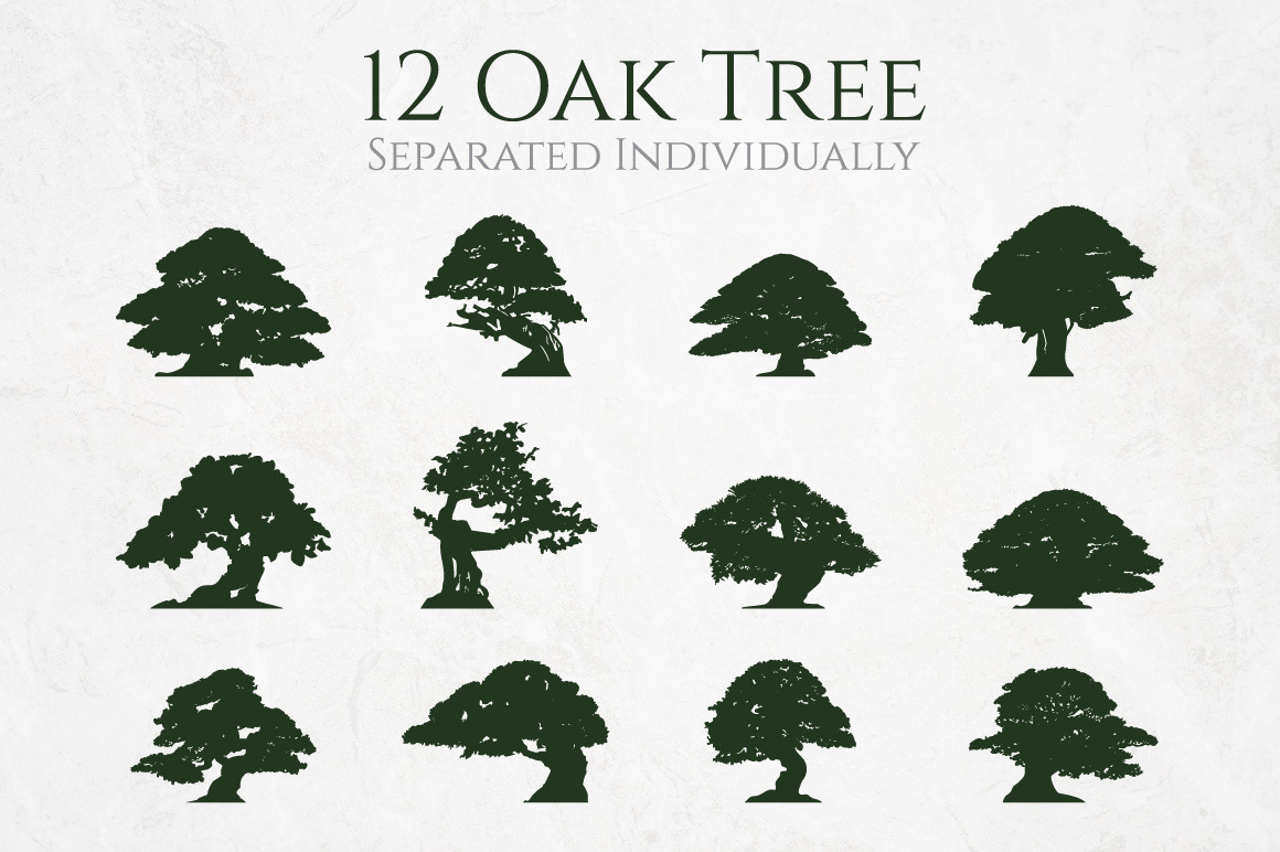 Artistic Big Oak Tree Silhouette Set - TemplateMonster