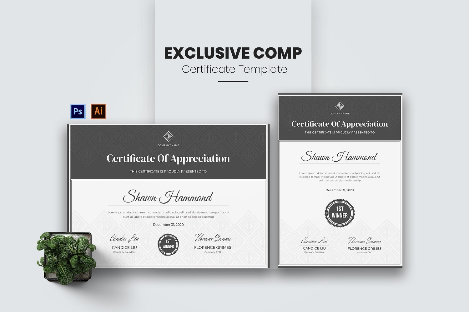 Exclusive Company Certificate template - TemplateMonster