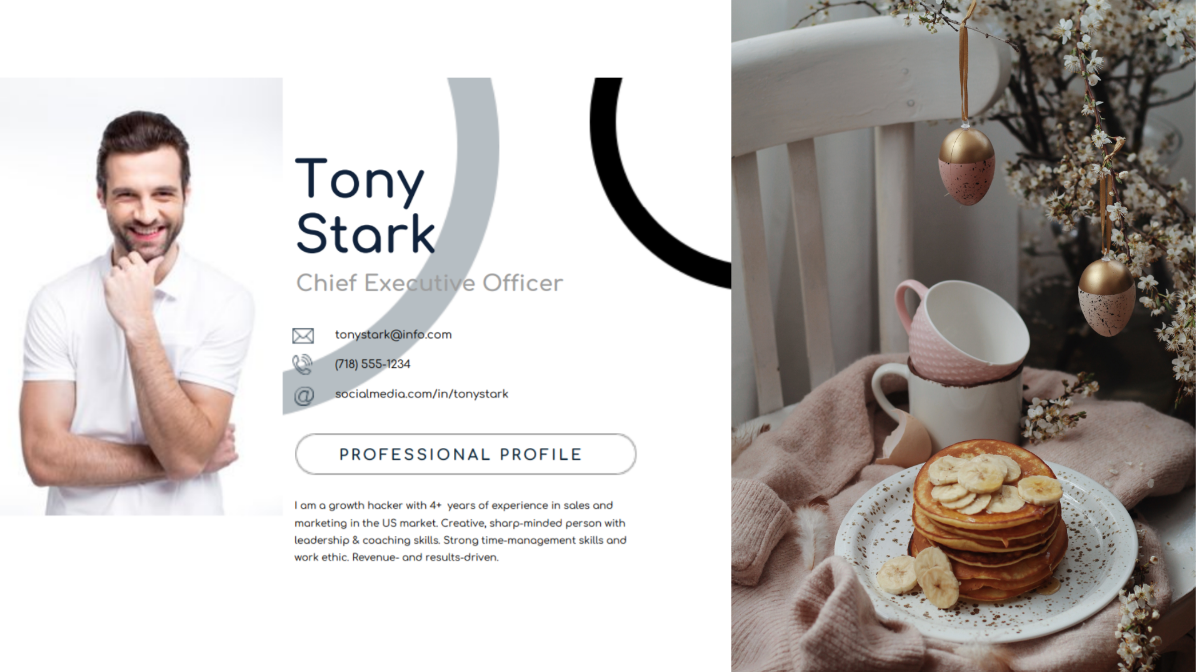 Tony Stark Printable Resume Templates - TemplateMonster