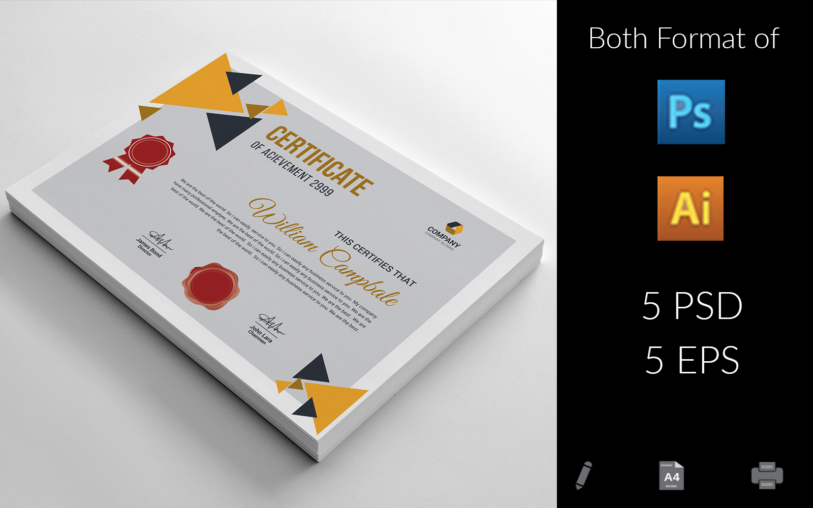 Modèle de certificat de mérite #184072 - TemplateMonster