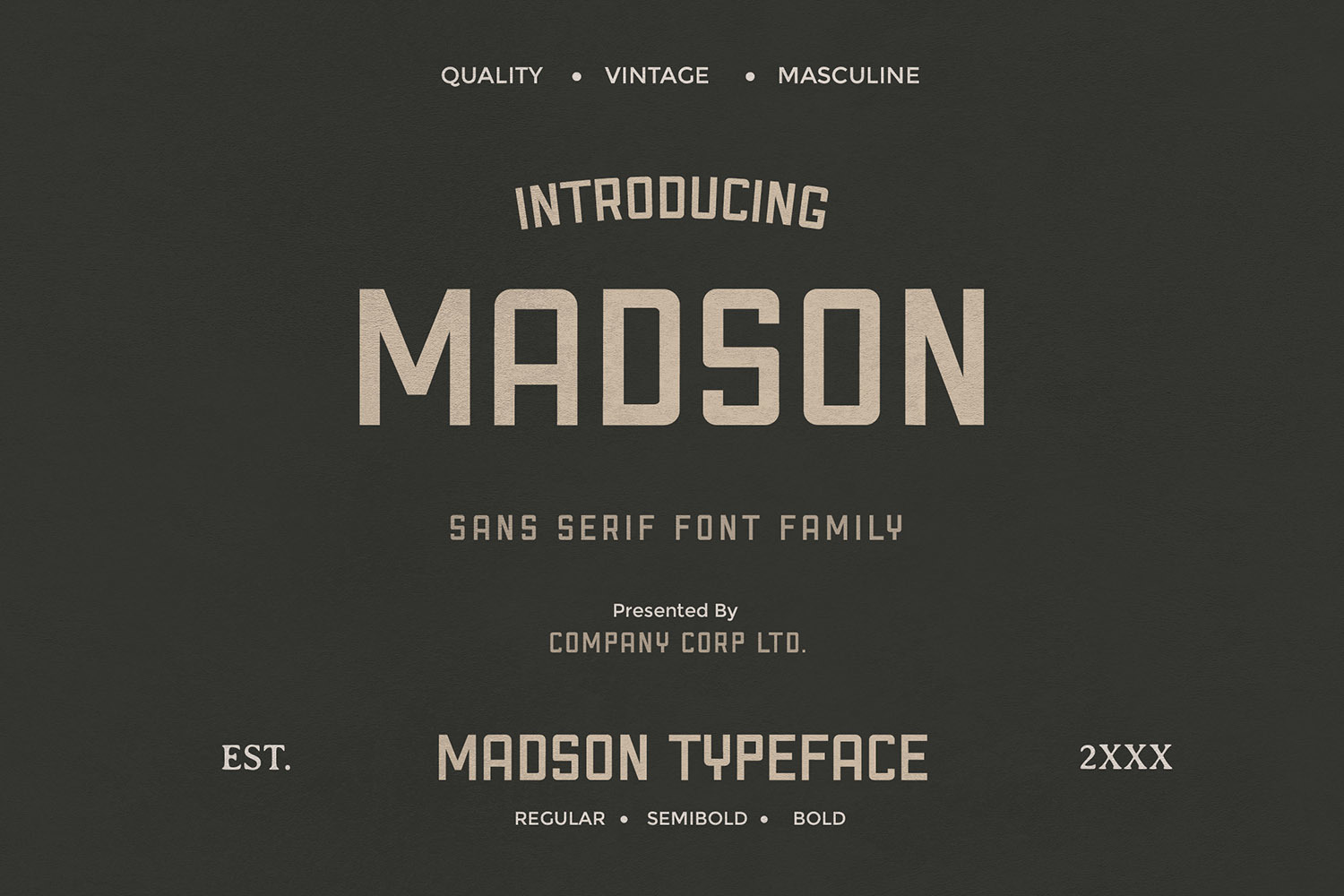 Madson Masculine Modern Typeface Fonts TemplateMonster