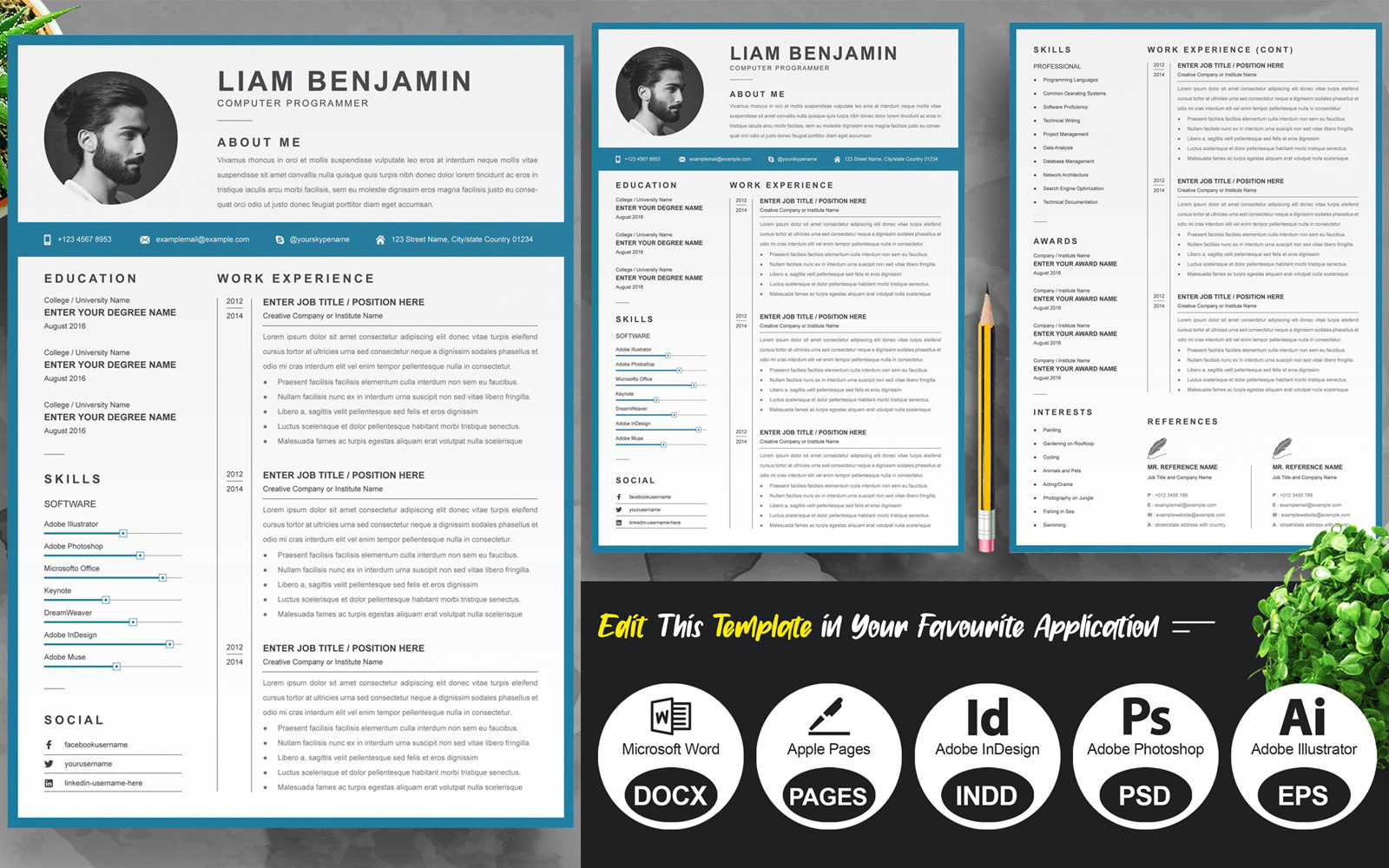 Lima Benjamin / CV Template #193245 - TemplateMonster