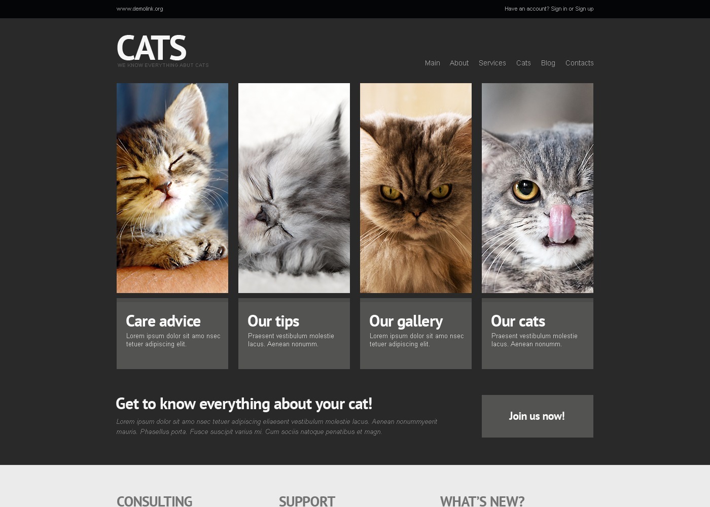 Free Cat WordPress Template #196535 - TemplateMonster