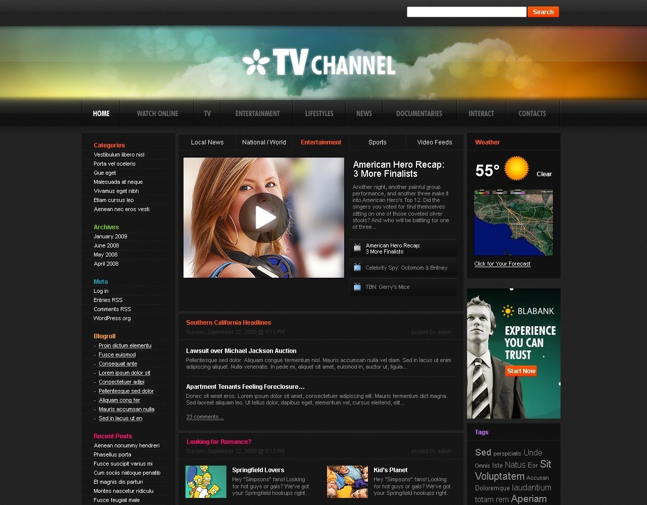 Free TV Channel Design for WordPress - TemplateMonster