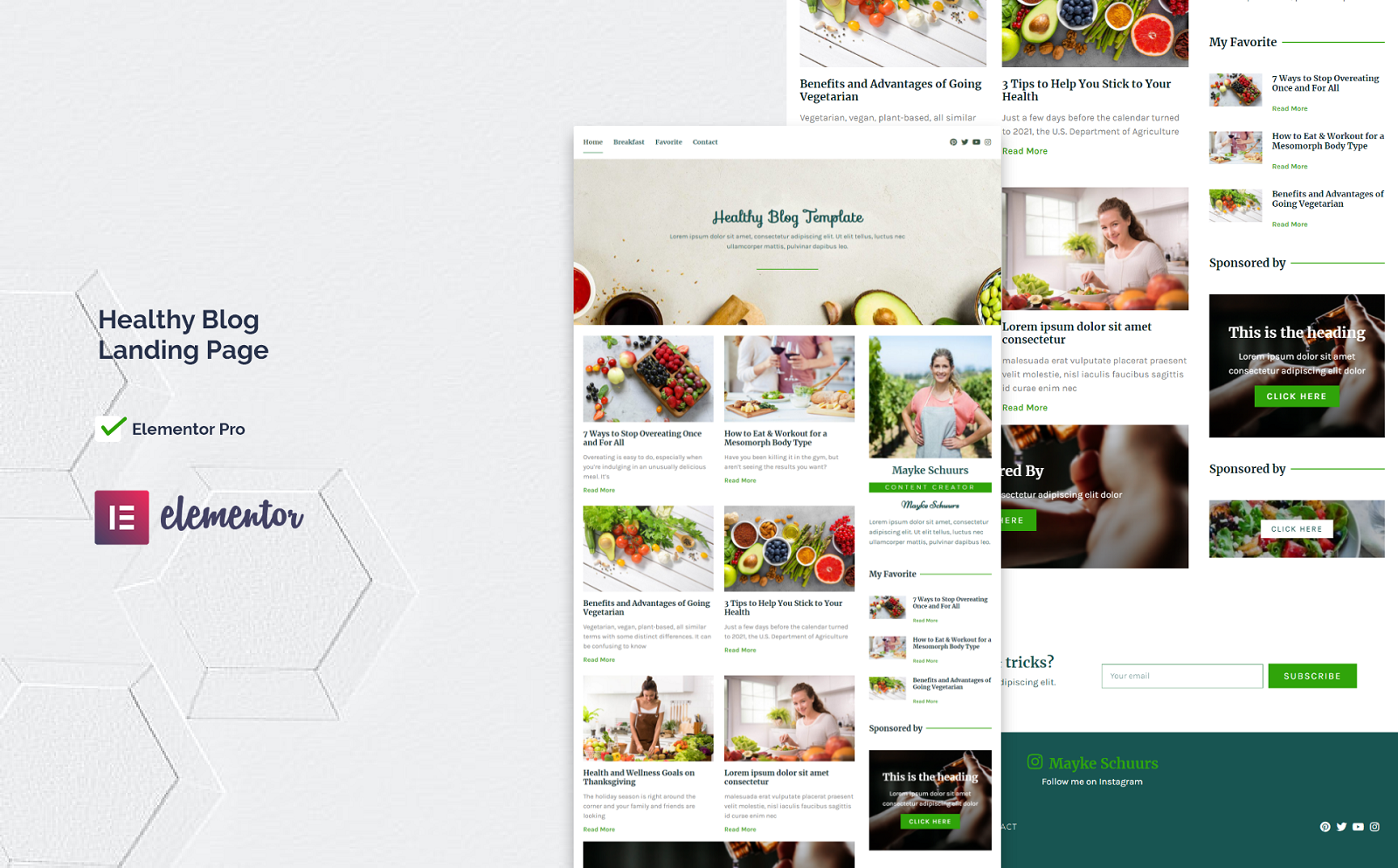 Healthy Blog | Healthy Blog Elementor Pro Kit Landing Page Template