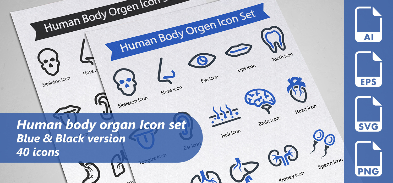 Human Body Organ Icon Set #202891 - TemplateMonster