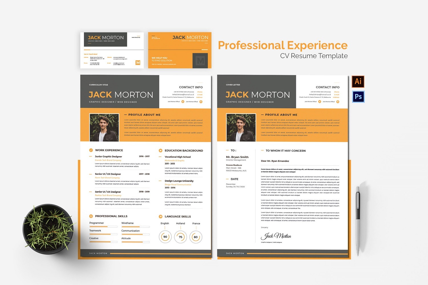 Professional Experience CV Resume Set - TemplateMonster