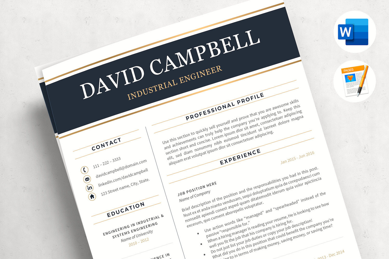DAVID - Professional Resume for Engineers. Engineering Resume with ...