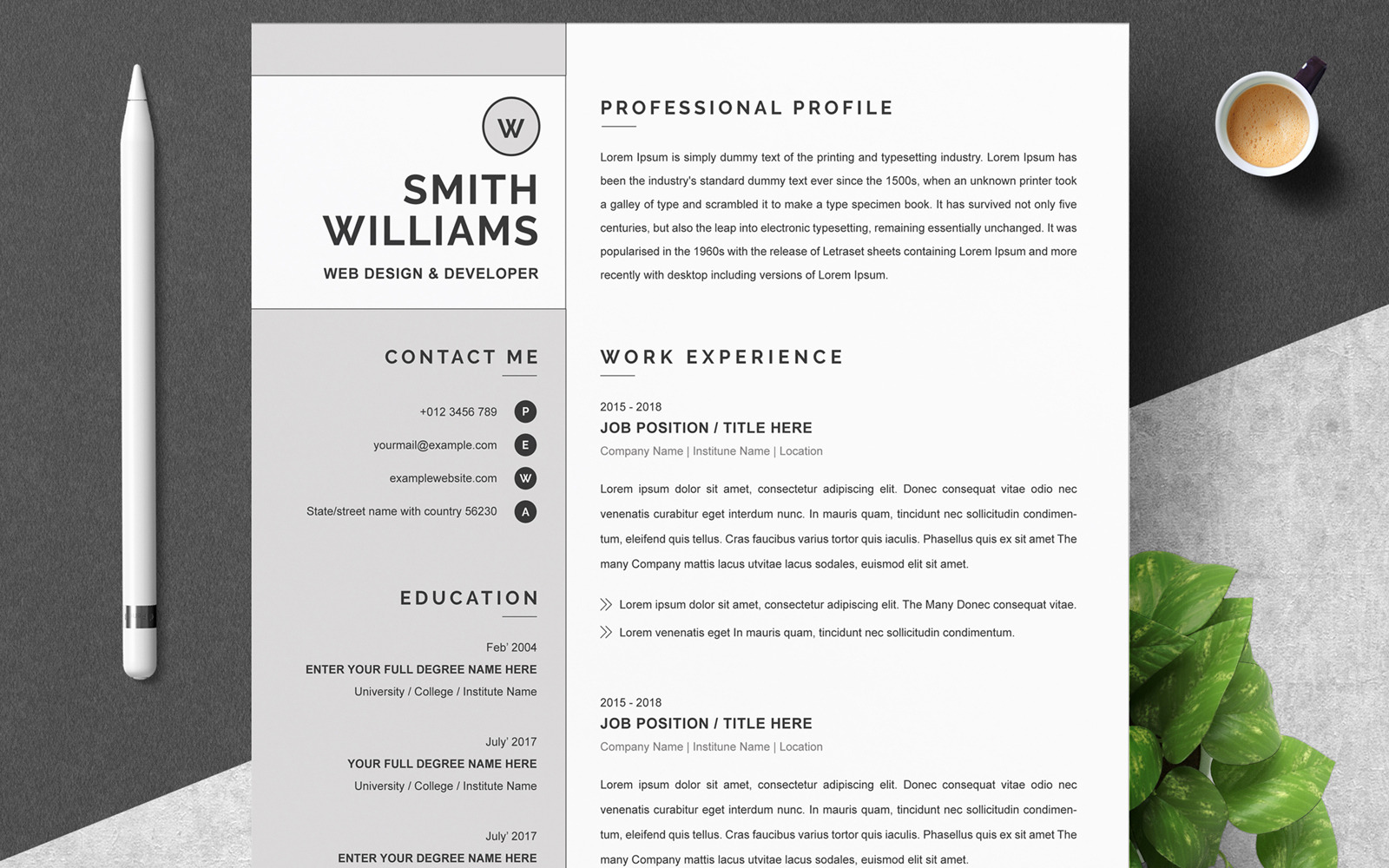 Smith Professional Resume Template #218147 - TemplateMonster